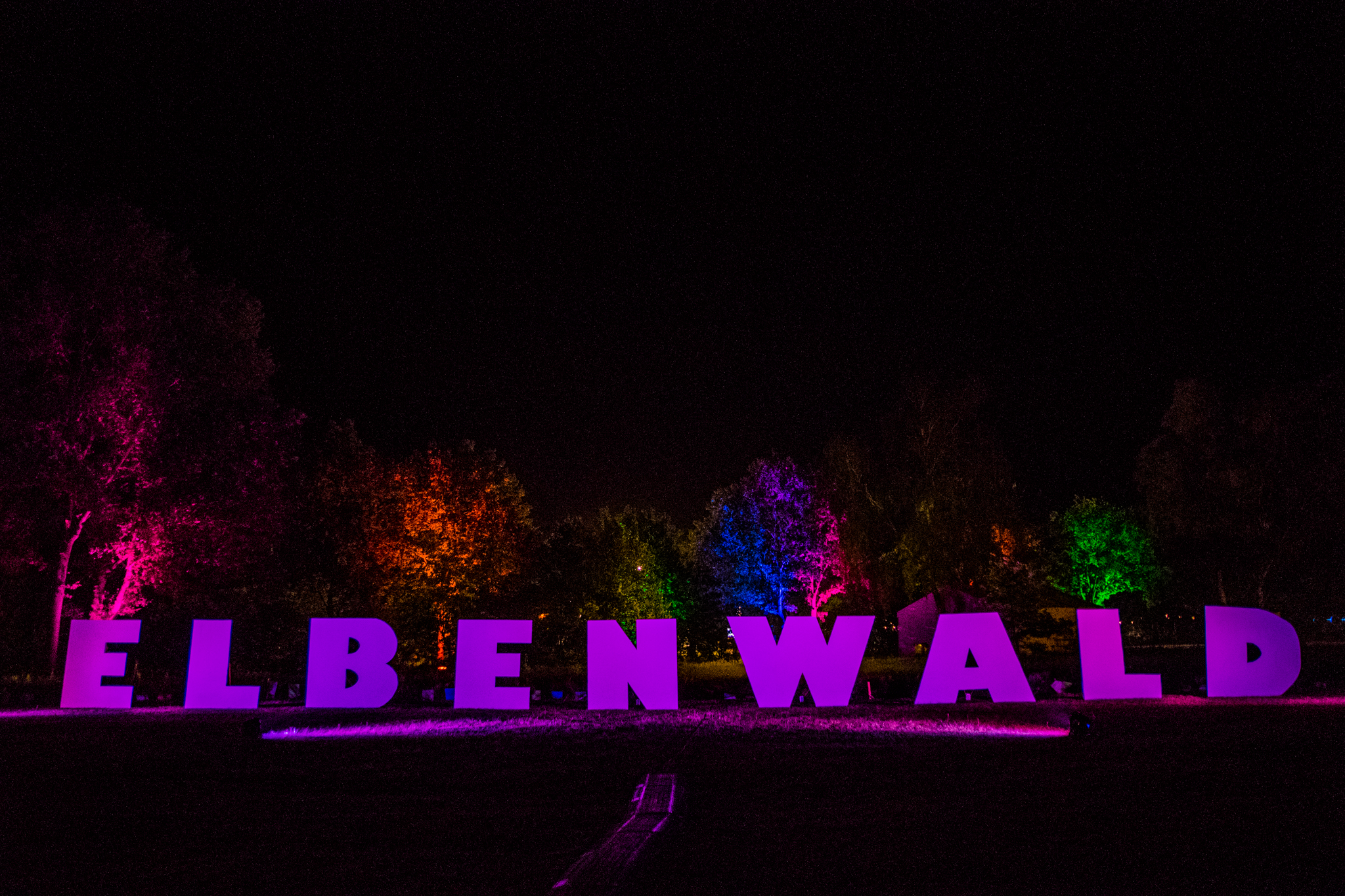 Elbenwald 2019 – Maike Keller Fotografie